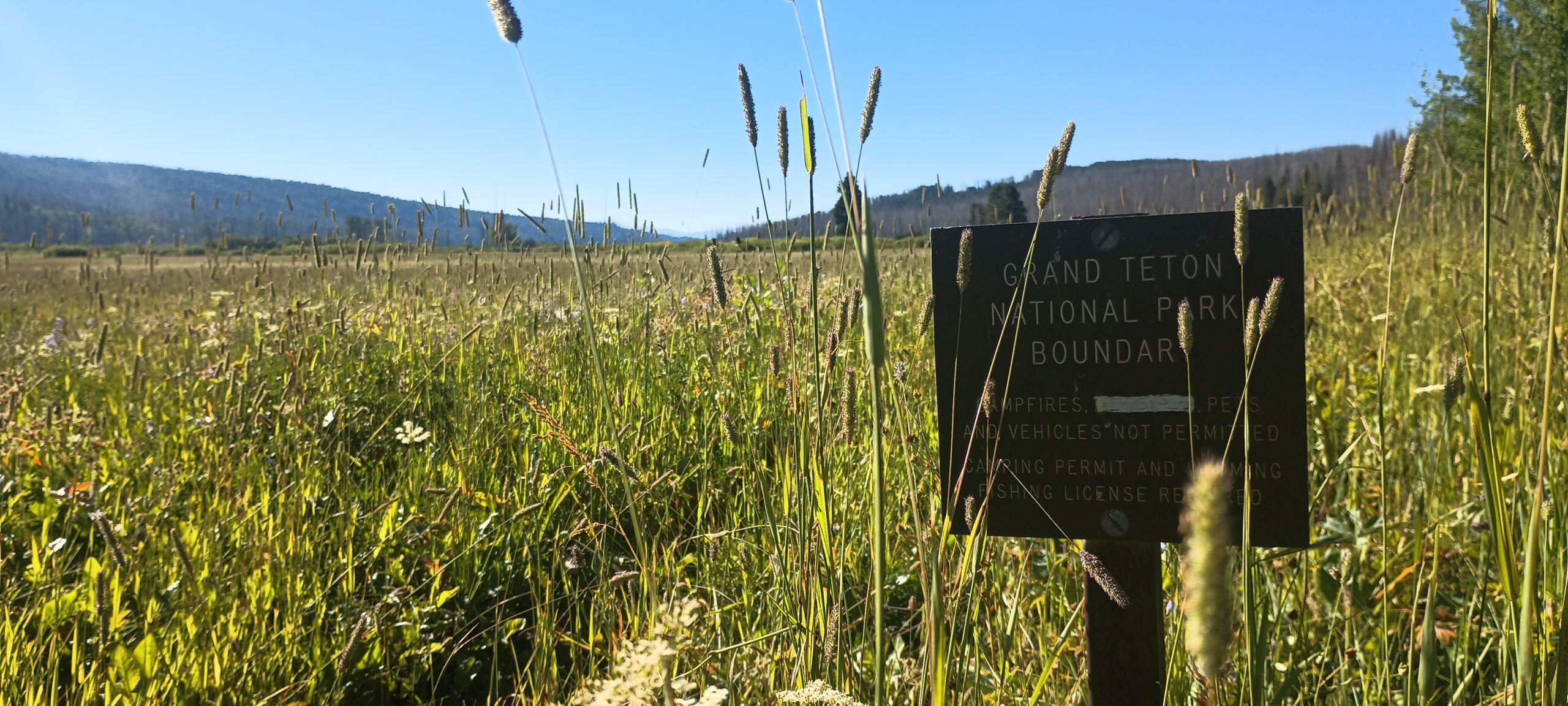 Into the Tetons – Flagg Ranch to Green Lakes – Two People Walking